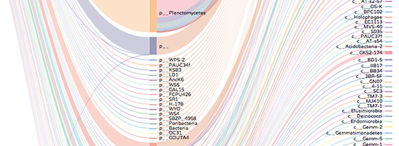 Pitch Interactive – A Framework for Visualizing Bio Data