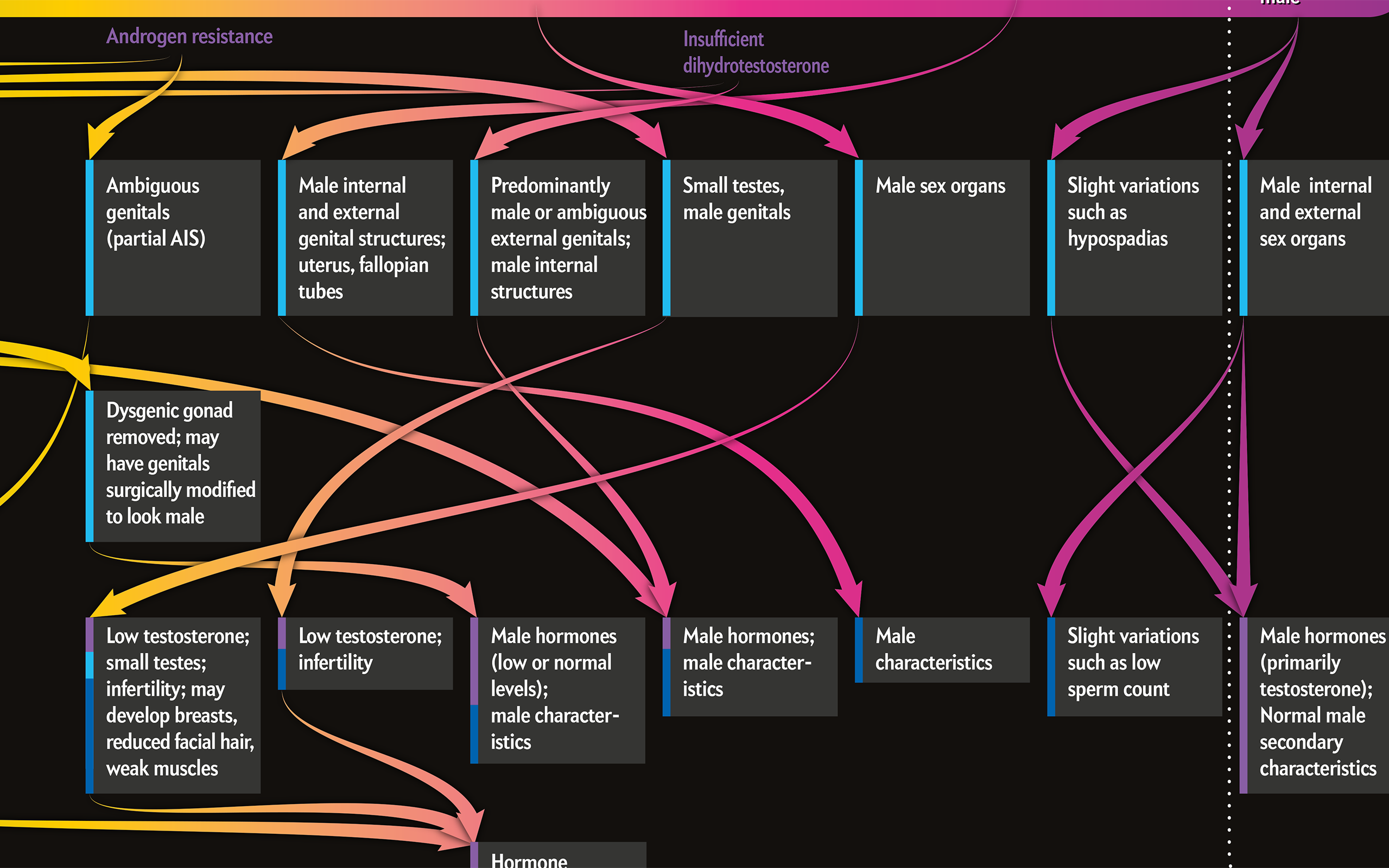 Pitch Interactive – Beyond XX and XY
