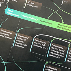 Pitch Interactive, Inc. : A Data Visualization Studio