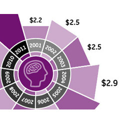 Pitch Interactive, Inc. : A Data Visualization Studio