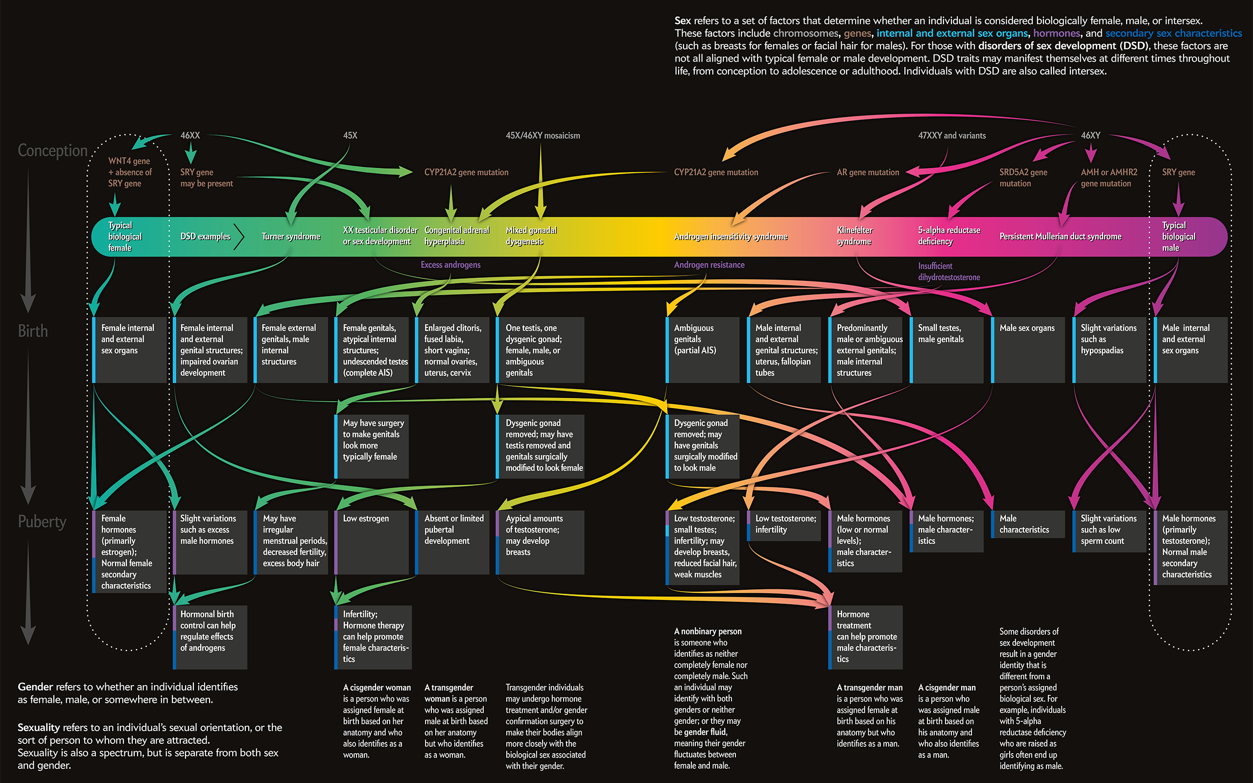 Pitch Interactive, Inc. - A Data Visualization Studio